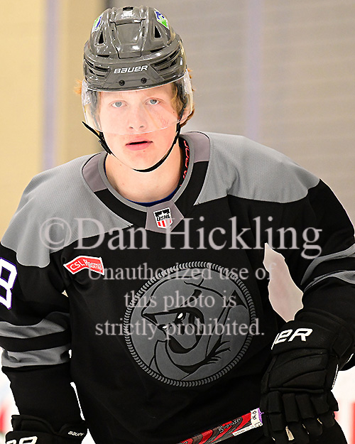 William Whitelaw - Elite Prospects