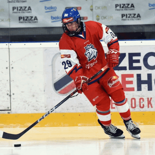 Artur Matejovsky - Stats, Contract, Salary & More