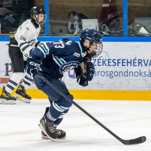 Dániel Gál - Stats, Contract, Salary & More