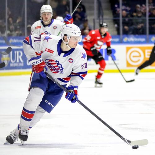 Filip Cederqvist - Stats & Facts - Elite Prospects