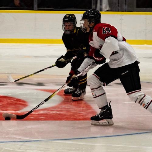 Elton Hermansson - Stats & Facts - Elite Prospects