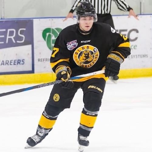 Michael Albert - Stats, Contract, Salary & More