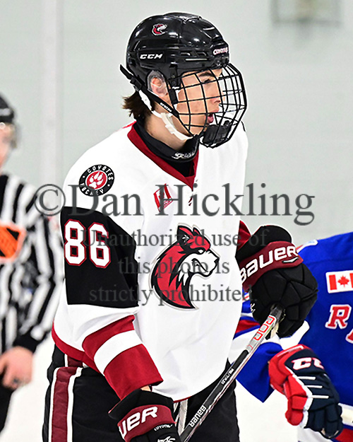 Filip Djordjevic - Stats & Facts - Elite Prospects