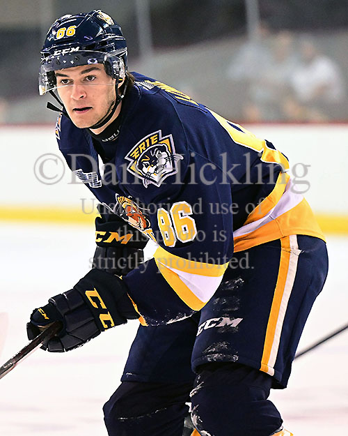 Cameron Lowe - Stats & Facts - Elite Prospects