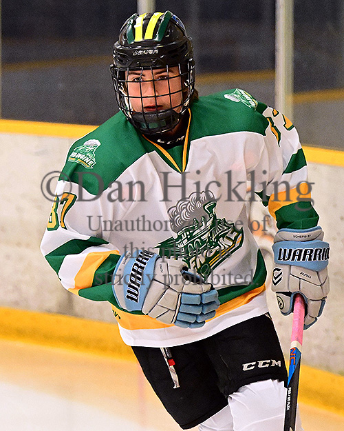 Jaxon Schepis - Stats & Facts - Elite Prospects