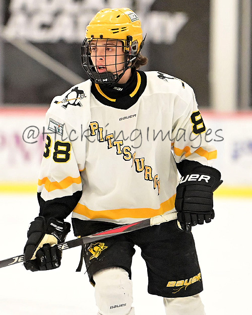 Anthony Carone - Stats & Facts - Elite Prospects