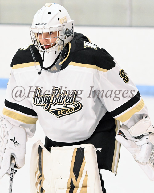 Sebastian Gatto - Elite Prospects