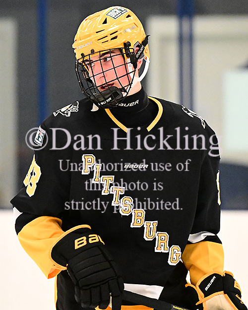 Brandon Vislay - Stats & Facts - Elite Prospects