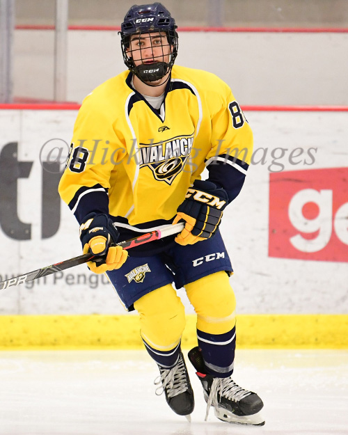 Thomas Zocco - Elite Prospects