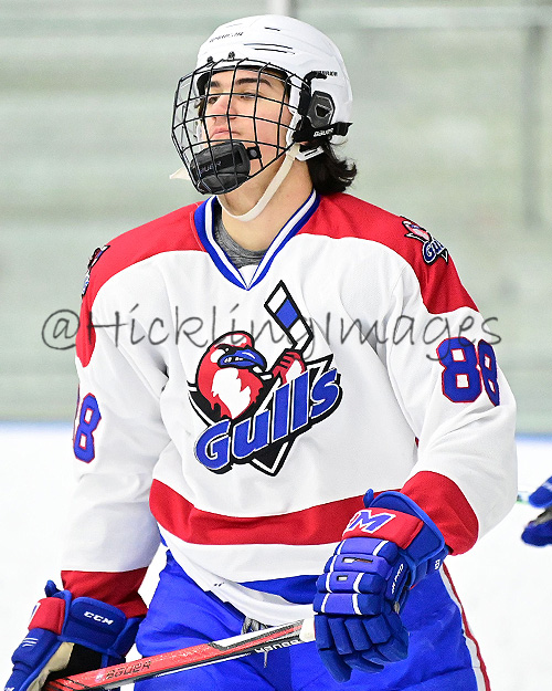 Thomas Zocco - Elite Prospects