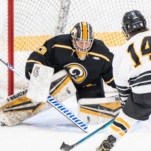 Benjamin Ashton - Stats, Contract, Salary & More