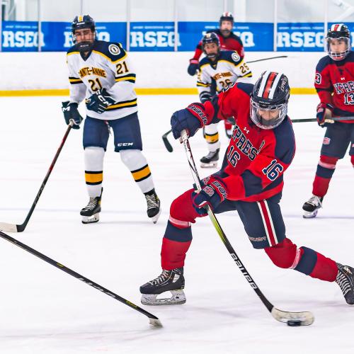 Shane-Alexandre Dubé - Stats, Contract, Salary & More