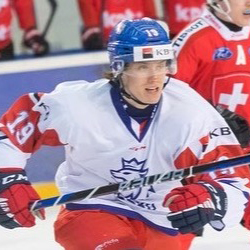 Tomas Vlcek - Stats & Facts - Elite Prospects