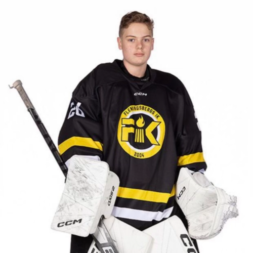 Benjamin Lindbom - Stats, Contract, Salary & More