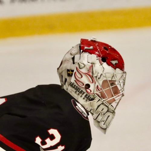 David Kroupa - Stats, Contract, Salary & More