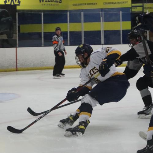 Ryan Galvin - Stats, Contract, Salary & More