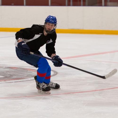 Helgi Bjarnason - Stats & Facts - Elite Prospects