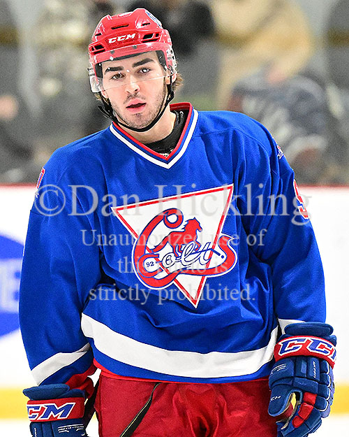 Nicolas Gingras - Stats, Contract, Salary & More