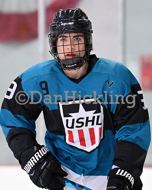 Alex Gomes - Elite Prospects