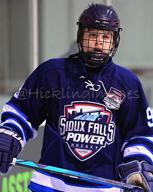 Timothy Hanulik - Elite Prospects