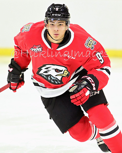 Aidan Litke - Elite Prospects