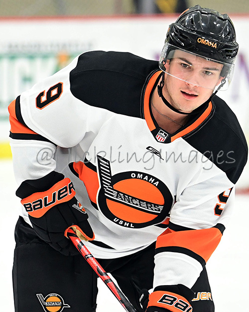 Ben Robertson - Elite Prospects