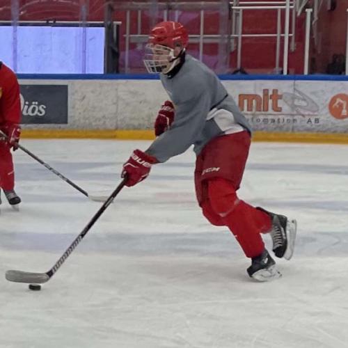 Filip Olsson - Stats & Facts - Elite Prospects