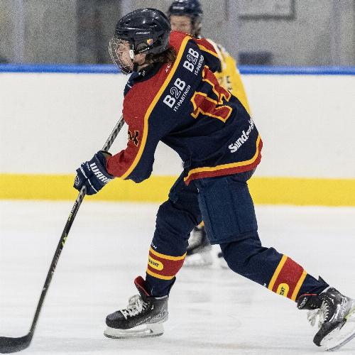 Anton Frondell - Elite Prospects
