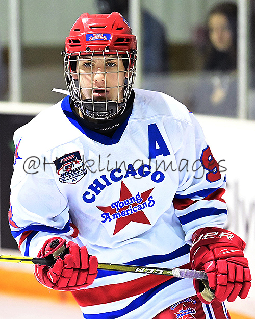 Brenden Fields - Elite Prospects