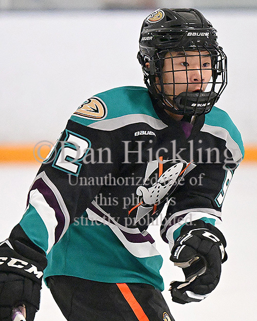 Gabriel Yee - Elite Prospects