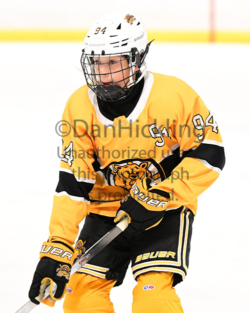 Michael Carella - Stats, Contract, Salary & More