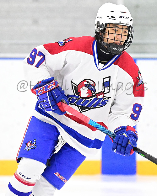 Tyler Lee - Elite Prospects