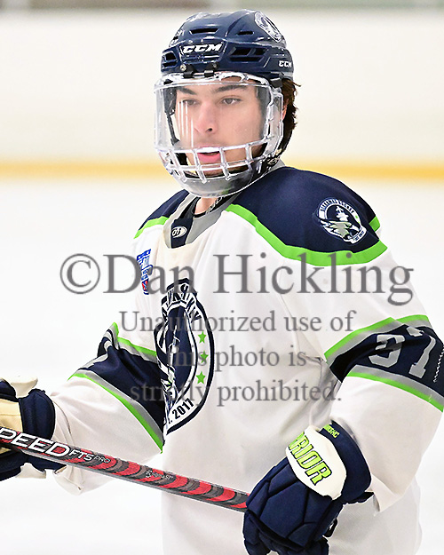 Zach Micciche - Elite Prospects