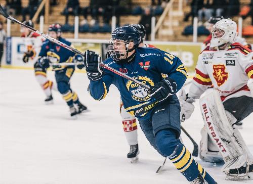 Adam Sikl - Stats, Contract, Salary & More