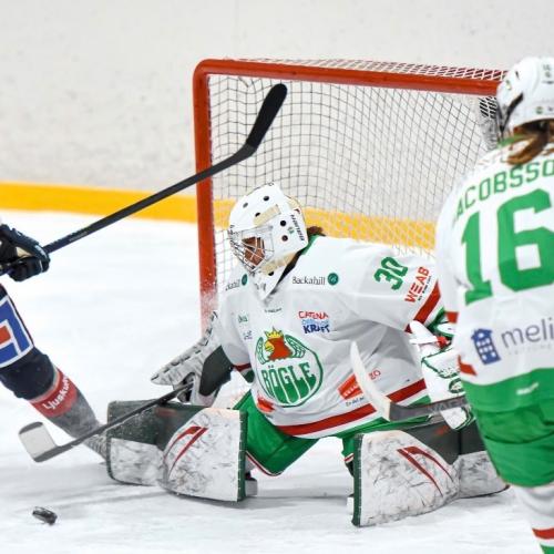 Ida-Li Brodin - Stats, Contract, Salary & More