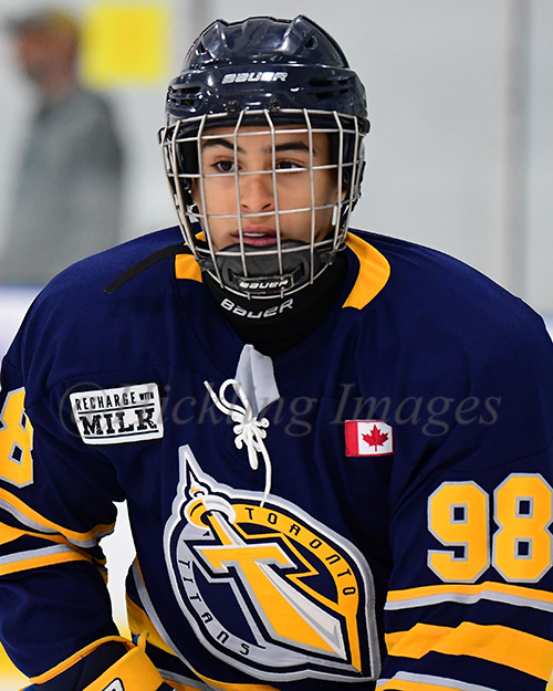 Anthony Piccininno - Stats, Contract, Salary & More