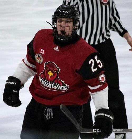 Brendan Bauer - Elite Prospects