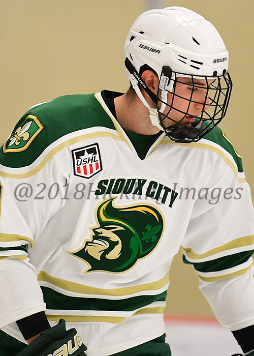 Matt Miller - Elite Prospects