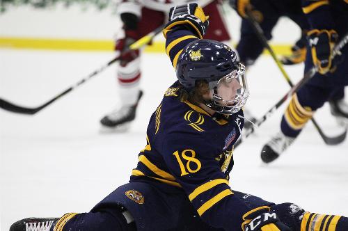 Nick Jermain - Elite Prospects