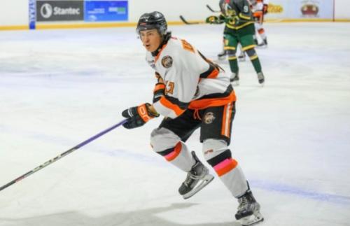 Max Leduc - Stats & Facts - Elite Prospects
