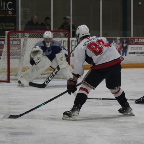 Liam Starcevic - Stats, Contract, Salary & More