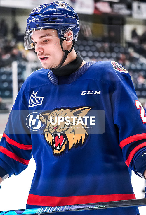 Nicolas Pavan - Elite Prospects