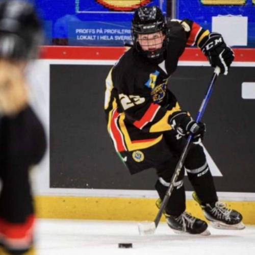 Ebba Hesselvall - Stats, Contract, Salary & More