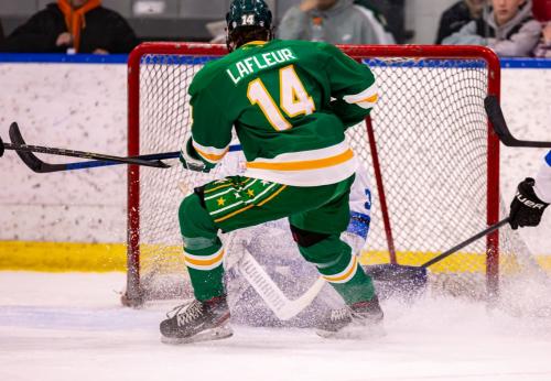 Mark Lafleur - Stats & Facts - Elite Prospects