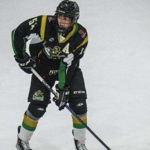 Alain Bourdeau - Stats & Facts - Elite Prospects