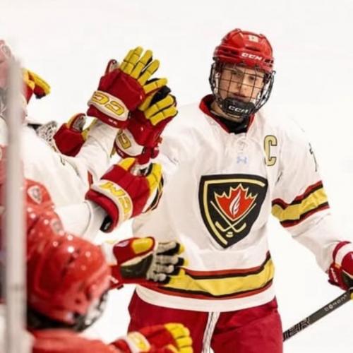 Tanner Adams - Stats, Contract, Salary & More