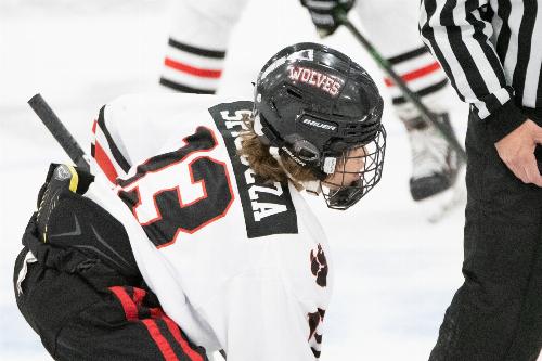 Zach Spicuzza - Elite Prospects