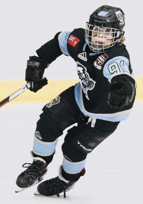 Bo Sabourin - Stats, Contract, Salary & More