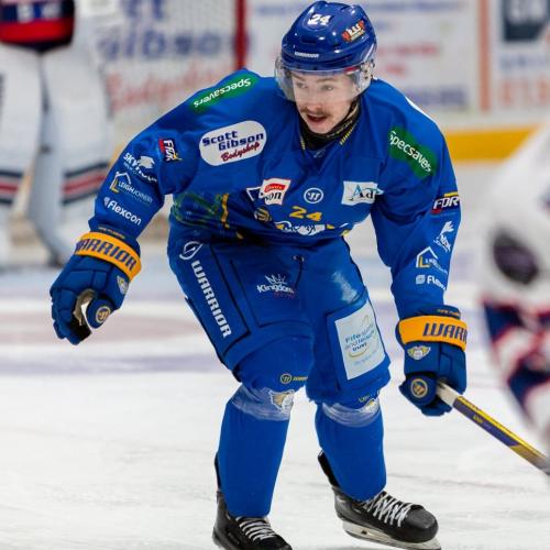 Aiden Wilson - Stats, Contract, Salary & More