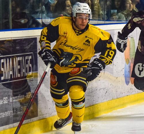 Vincent Crivello - Stats, Contract, Salary & More